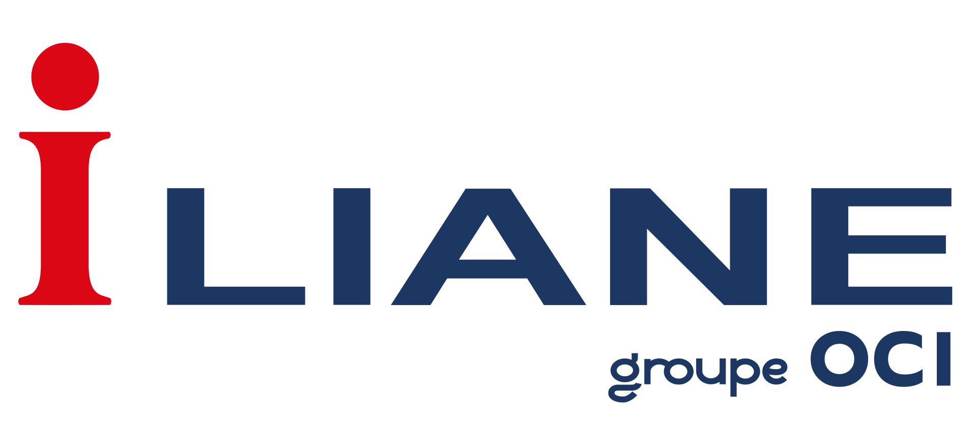 Iliane : Prestataire informatique, hébergement, cybersécurité